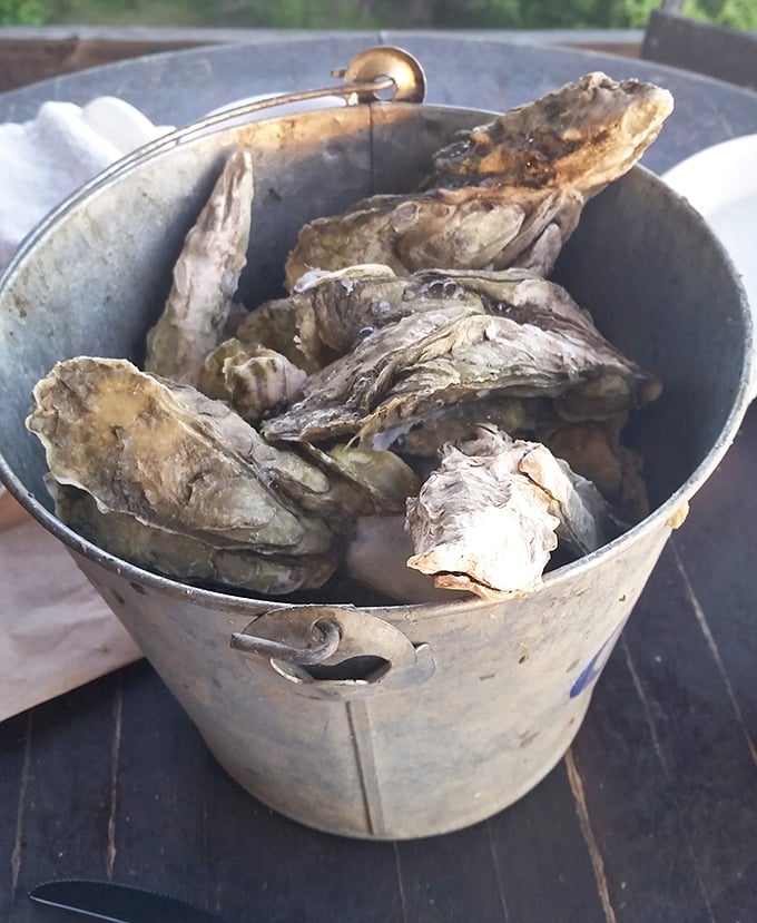 Oysters fresh from nearby waters, steamed to perfection. Nature's perfect appetizer, requiring nothing more than good company and perhaps a cold beer.