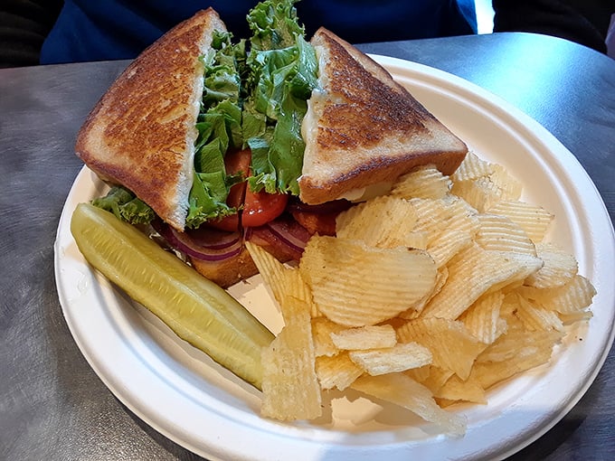 A sandwich that understands the importance of proper chip-to-pickle ratio. Simple pleasures served on a paper plate—no pretension, just satisfaction.