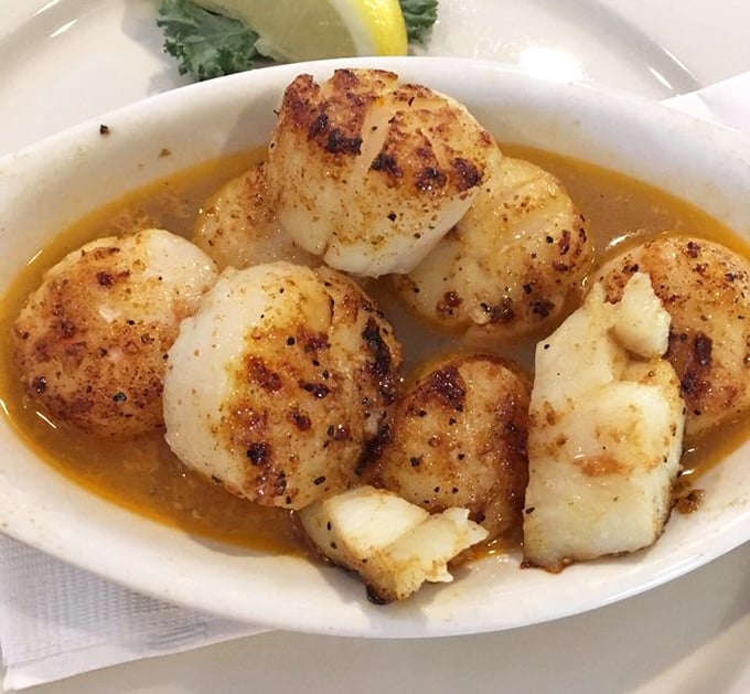 These scallops achieved that perfect golden sear that makes grown adults weep with pure joy.