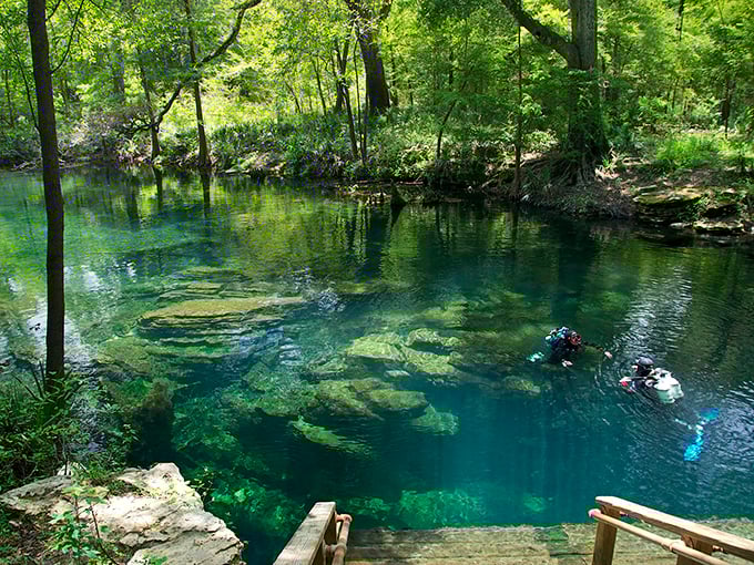Brave divers explore what lies beneath. Like astronauts of the deep, they venture where few have gone before.