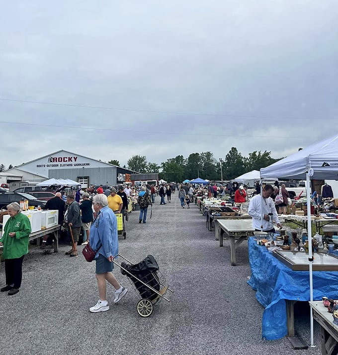 The serious business of Sunday shopping. Veterans know to bring rolling carts—amateur hour is trying to carry all your finds in two hands.
