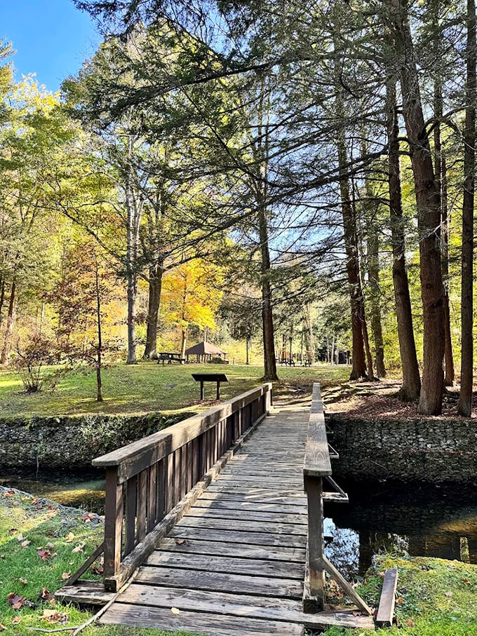 This wooden footbridge at Sizerville State Park doesn't just cross a stream—it transports you to the Pennsylvania that existed before smartphones and streaming services.