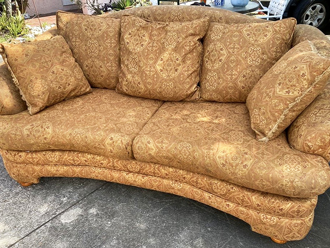 This golden patterned sofa isn't just furniture—it's a conversation piece waiting to transform someone's living room from basic to bold.
