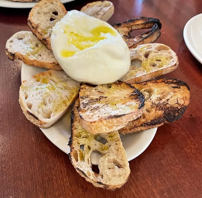 Sourdough that's been through more character development than most Netflix series—charred, chewy, and ready for its close-up with that ball of burrata.