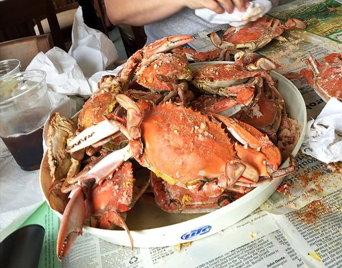 Steamed crabs piled high like edible treasure, ready to test your patience and reward your persistence.