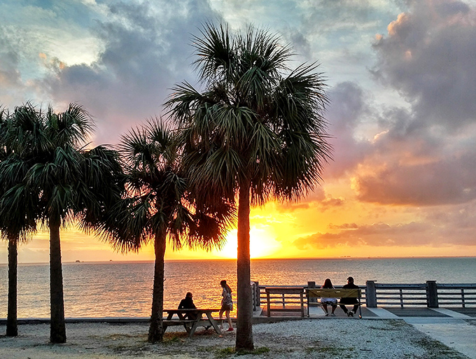 Mother Nature's nightly masterpiece unfolds as palm silhouettes frame a Key Biscayne sunset that would make even the most jaded Floridian pause in wonder.