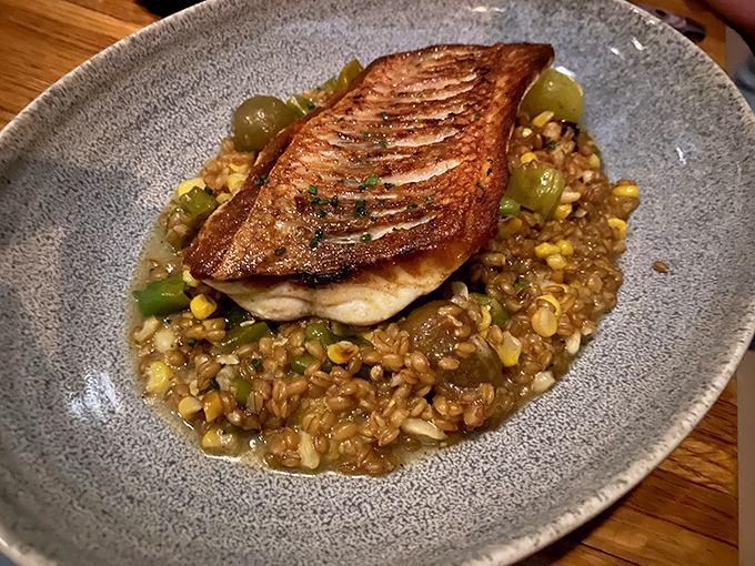 This swordfish doesn't just swim in grain—it lounges luxuriously atop a bed of corn and farro like it's at a five-star resort for fish.