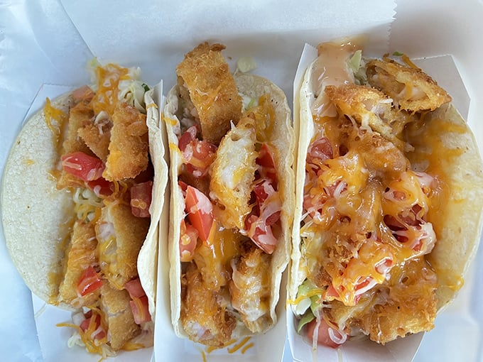 Fish tacos that make Taco Tuesday feel like an international holiday. The melted cheese is just showing off at this point.