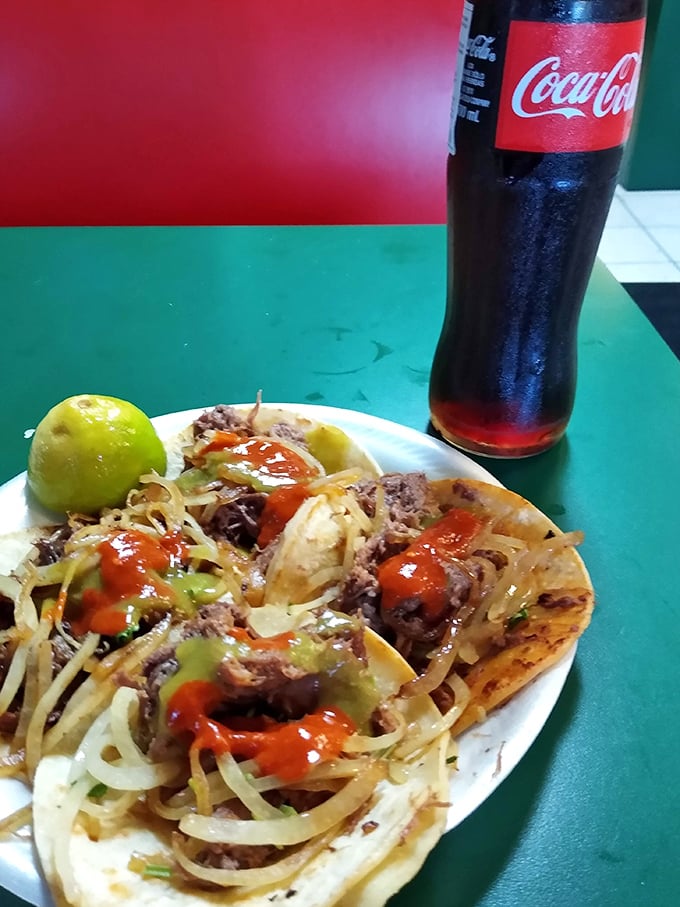 Simple street tacos paired with an ice-cold Coke—proof that sometimes the classics need no improvement.