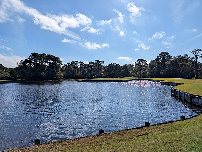 The Amelia River Club's water hazard isn't just challenging—it's practically hypnotic. Golf was invented for views like this, not for the frustration of finding balls in water.