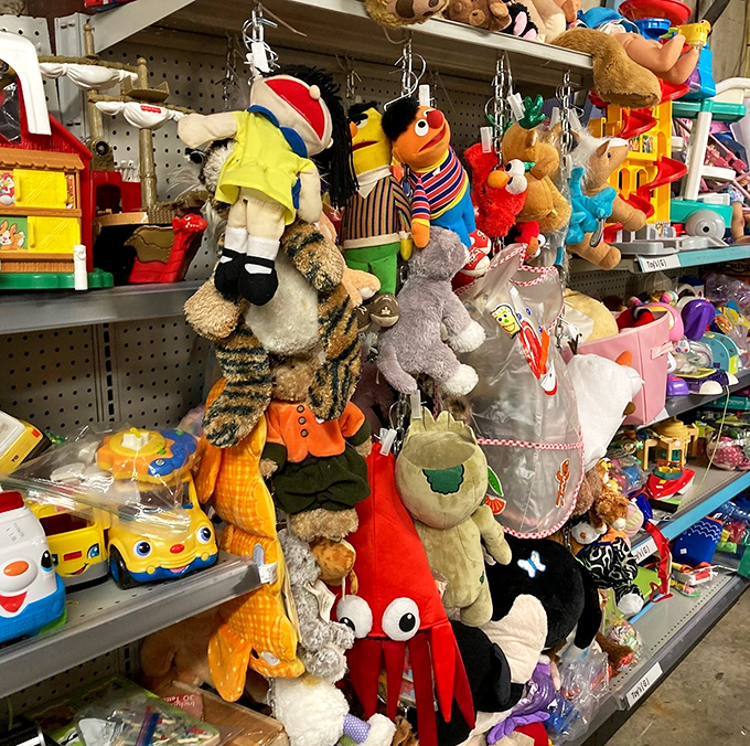 Toy wonderland where childhood memories get a second chance to create new magic moments.