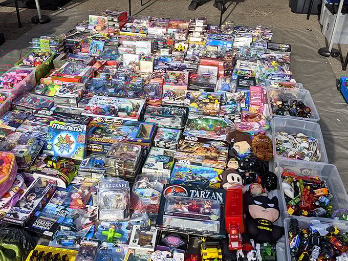 A toy collector's dream – where nostalgic action figures meet modern playthings in a plastic paradise of possibilities.