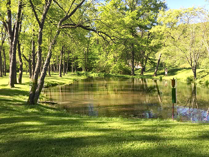 Mother Nature doesn't charge admission for her best attractions, like this serene pond that doubles as a mirror for Pennsylvania's sky.