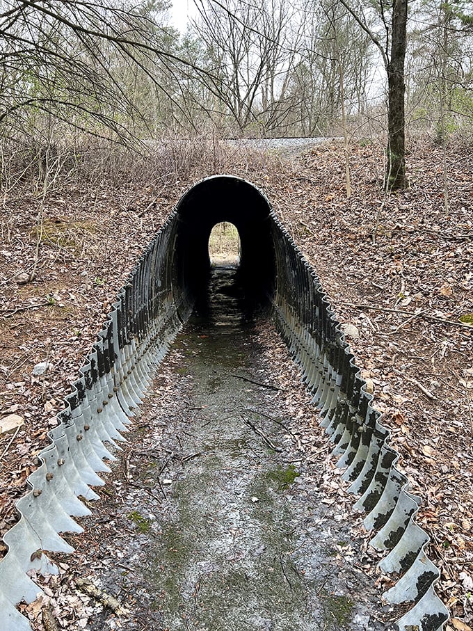 This tunnel doesn't lead to Narnia, but the adventure waiting on the other side might make you believe in magic anyway.