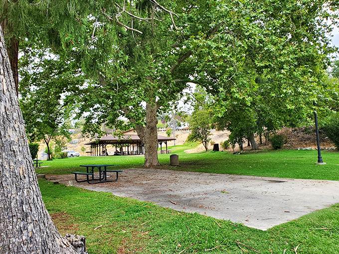 Utica Park offers a shady respite where picnic tables await your sandwich and stories, surrounded by trees that have seen it all.