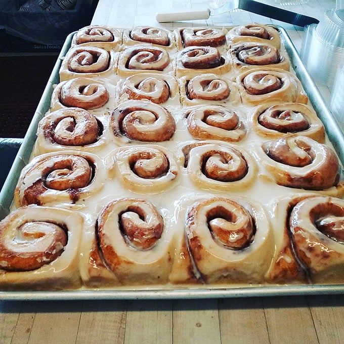 Cinnamon rolls lined up like edible soldiers in a delicious army. That glaze isn't just topping—it's liquid sunshine for your taste buds. 
