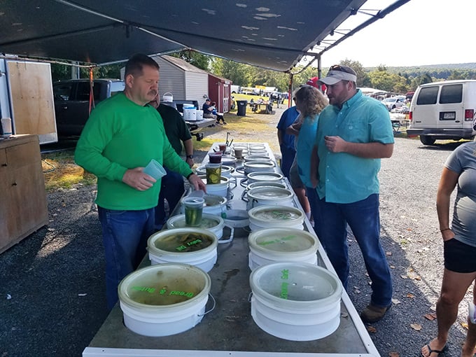 Serious negotiations happen over buckets of... something green? In the flea market economy, every transaction begins with curiosity.