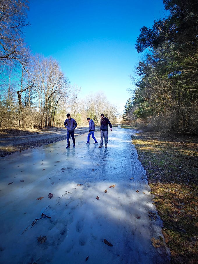 Winter explorers testing nature's ice rink. The forest's frozen path offers an impromptu skating opportunity—no Zamboni required!