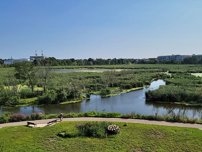 Nature's own water feature—these wetlands serve as Holland's ecological lungs, proving beauty and function make perfect environmental partners. 