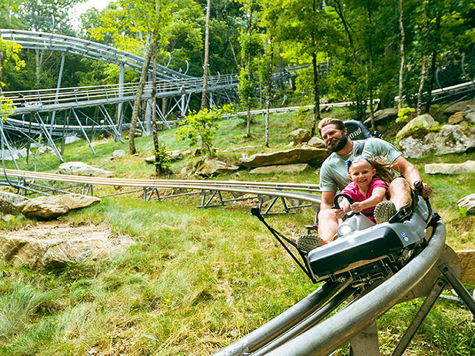 The alpine coaster: where adults can legitimately scream with childlike abandon without anyone calling the authorities.