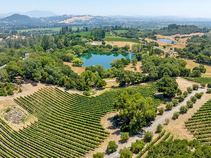 From this bird's-eye view, vineyards and a serene lake create nature's perfect pairing—like a great Cabernet with a sunset, but you can actually see it.