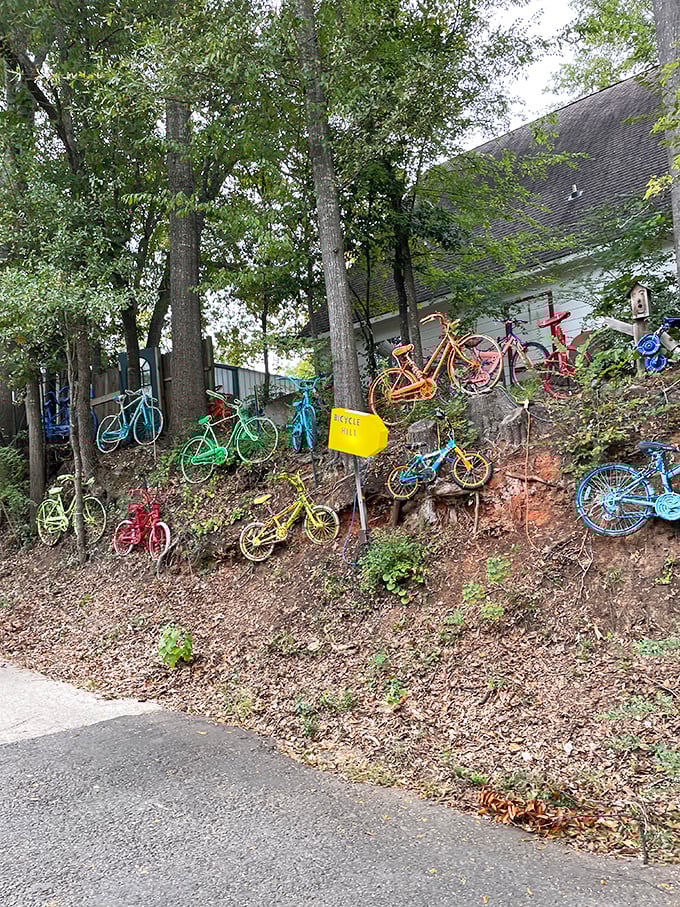 Jefferson's "Bicycle Hill" creates an unexpected rainbow against the forest backdrop – part art installation, part small-town whimsy, entirely conversation-worthy.