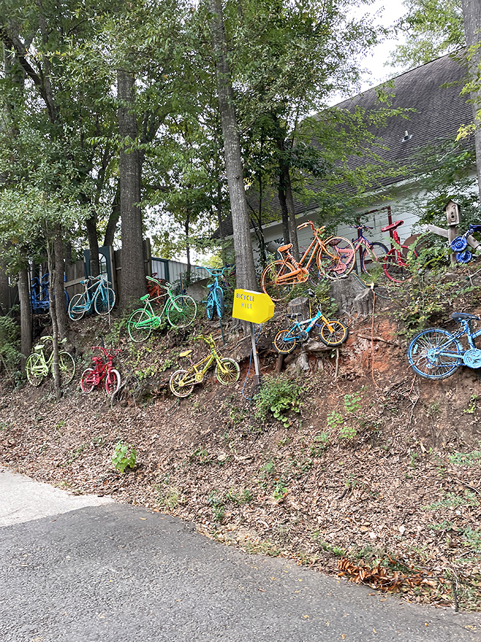 Jefferson's "Bicycle Hill" creates an unexpected rainbow against the forest backdrop – part art installation, part small-town whimsy, entirely conversation-worthy.