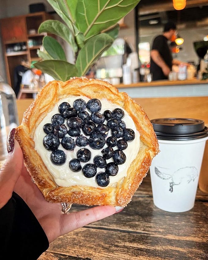 A blueberry danish that's basically summer captured in pastry form—the fruit practically singing against that creamy backdrop.