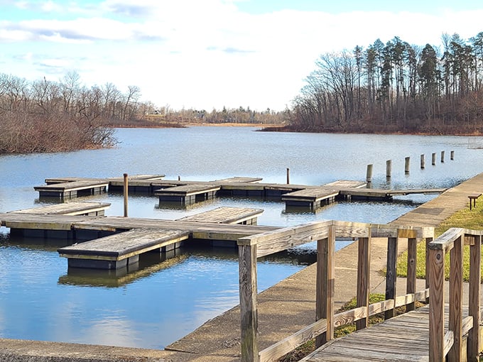 The boat dock at dawn—that magical moment before everyone else discovers your secret fishing spot. Serenity now!