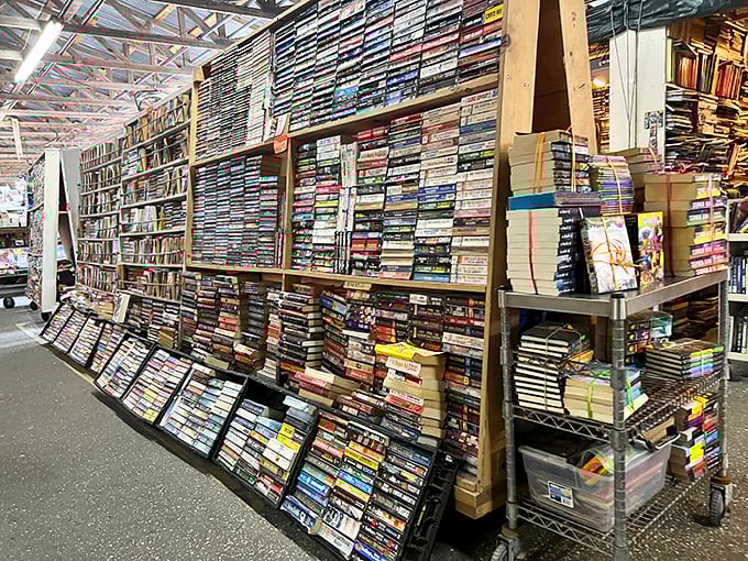 A bibliophile's paradise where paperbacks stretch to the horizon. I could spend hours here hunting for that elusive first edition.