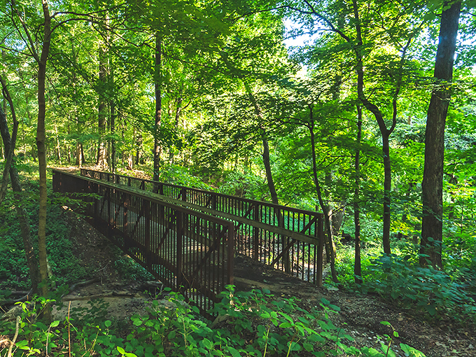 Not all who wander are lost, but this bridge ensures you'll find your way through Beall Woods' emerald cathedral.