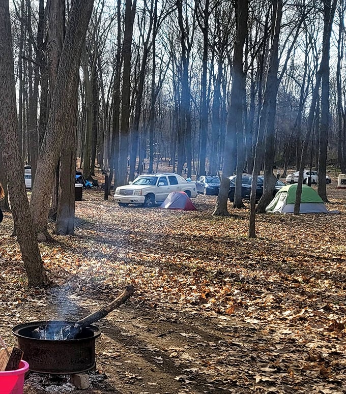 Fall camping among autumn leaves – where the crackle of your campfire competes with the crunch underfoot and morning coffee tastes inexplicably better than at home.