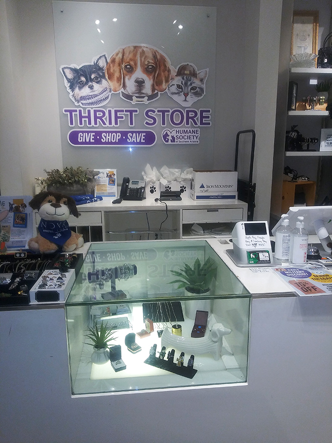 The checkout counter doubles as pet advocacy central – those adorable faces are the real CEOs of this operation.
