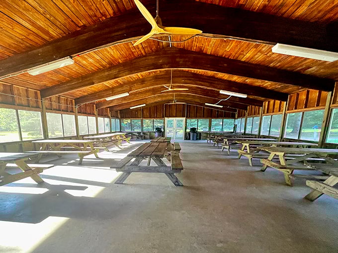 The ultimate picnic cathedral—vaulted wooden ceilings, natural light, and not a single waiter asking if "you're still working on that."