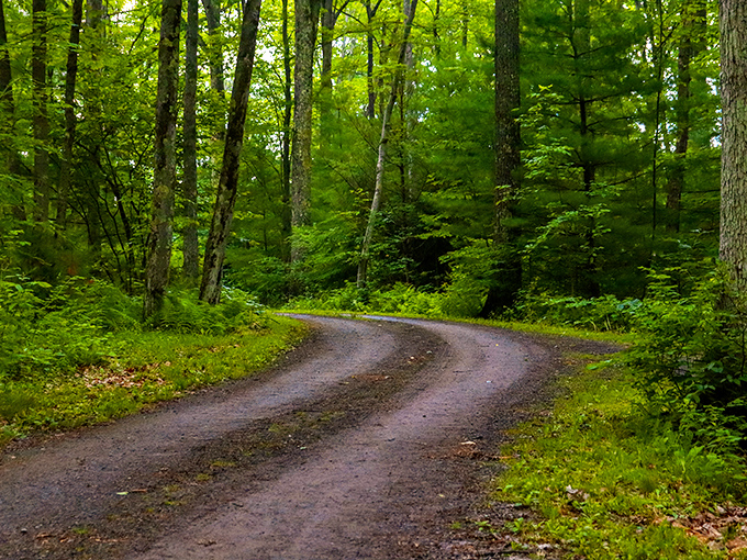 The road less traveled actually does make all the difference. Robert Frost would approve of this winding dirt path.