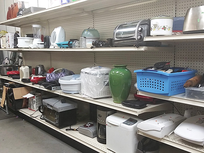 The small appliance section: where $12 might score you the toaster oven that makes your morning bagel just the right shade of golden.