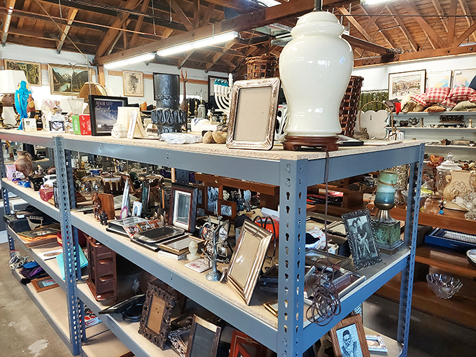 Treasure island for the home decorator – where picture frames and knickknacks compete for your attention like eager puppies at the shelter.