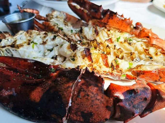 When your lobster arrives looking like this, you don't just eat dinner—you experience a seafood masterpiece worthy of maritime museums.