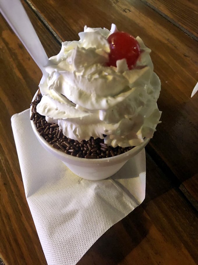 This hot fudge sundae isn't just dessert, it's therapy—chocolate sprinkles and whipped cream creating a momentary escape from reality one spoonful at a time.