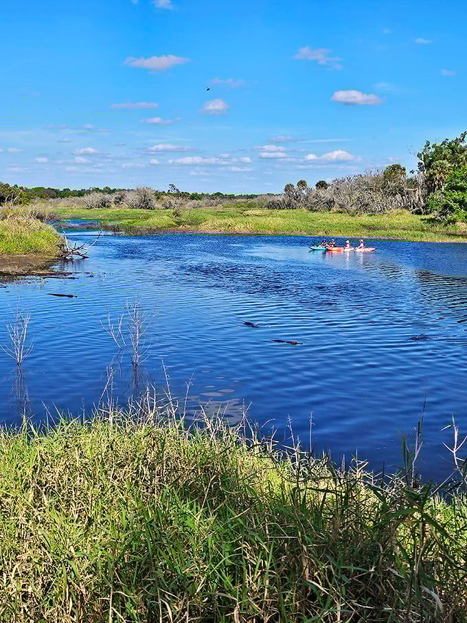 Kayaking through Myakka—where every paddle stroke feels like turning a page in a living National Geographic magazine.