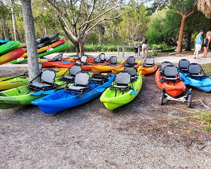 A rainbow fleet of possibilities, each paddle promising its own unique journey through nature.