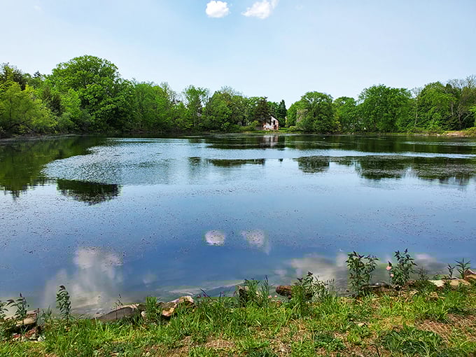 This serene pond reflects more than just clouds—it mirrors the peaceful rhythm of small-town life just steps from intellectual bustle.
