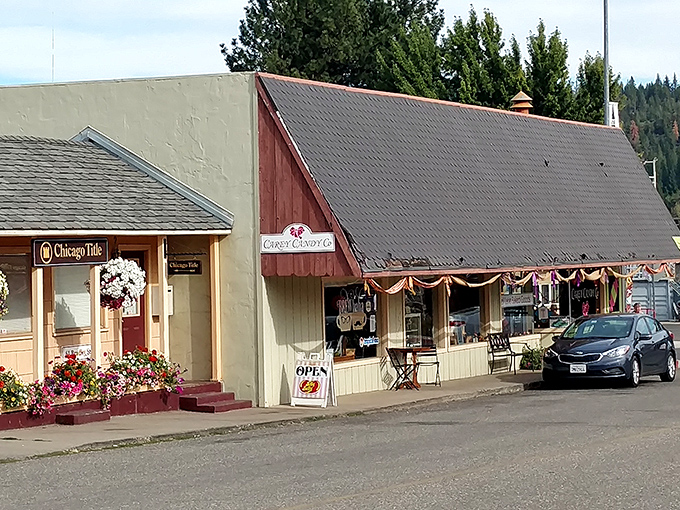 These storefronts with their flower boxes aren't just businesses—they're love letters to a time when shopping meant conversations, not clicking "add to cart."