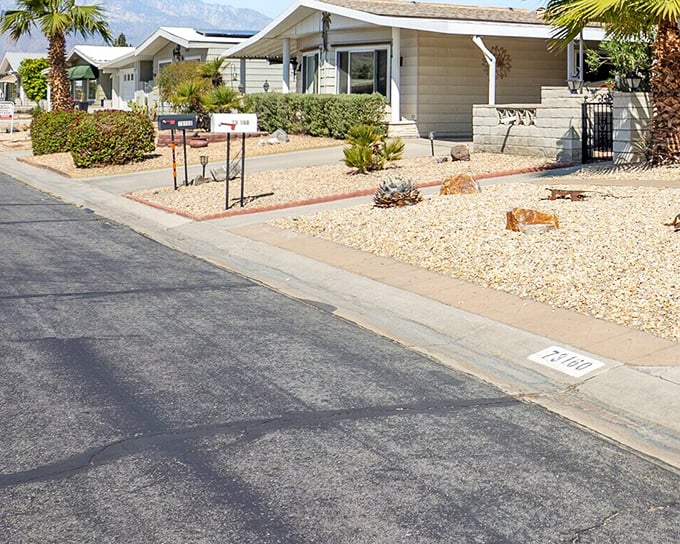 Desert-wise landscaping means trading lawn-mowing for leisure time—the ultimate retirement upgrade that pays dividends every weekend.