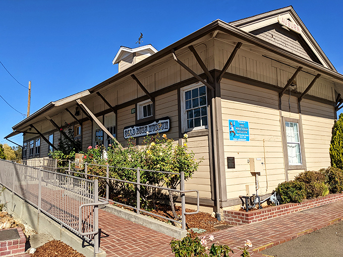 The Gold Rush Museum preserves Auburn's prospecting past in an unassuming historic building—where California dreams were made and broken.