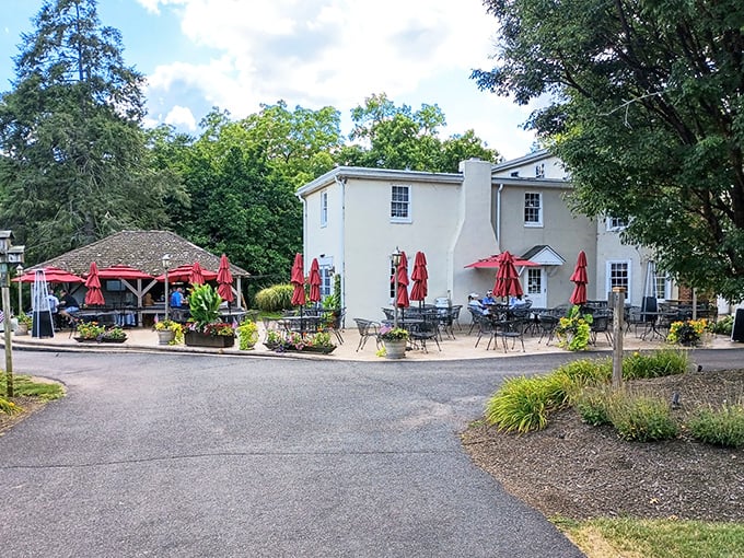 When park adventures work up an appetite, nearby dining options await your discovery.
