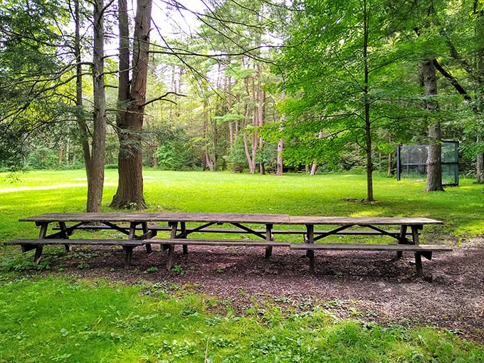 The world's most spacious dining room awaits! This picnic table practically begs for your potato salad and family stories that improve with each telling.