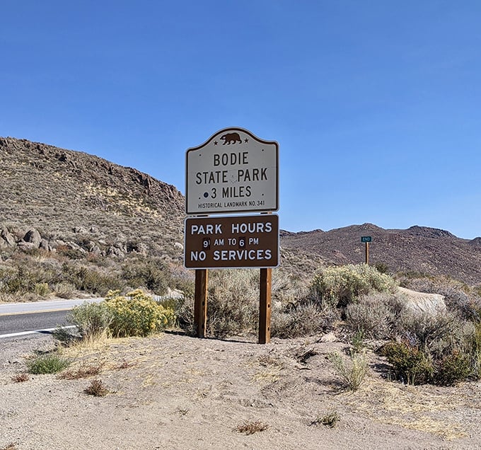 "No Services" means pack your snacks—this isn't Disneyland, folks, it's the authentic Wild West experience.