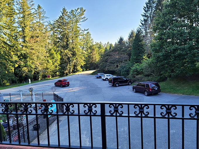 Even the parking area at Biltmore is framed by majestic trees. It's the only place where finding your car feels like part of the attraction.