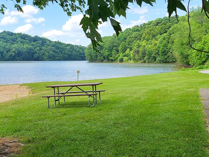 The perfect lunch spot doesn't exi— Oh wait, it does at Salt Fork, where picnic tables come with million-dollar views.
